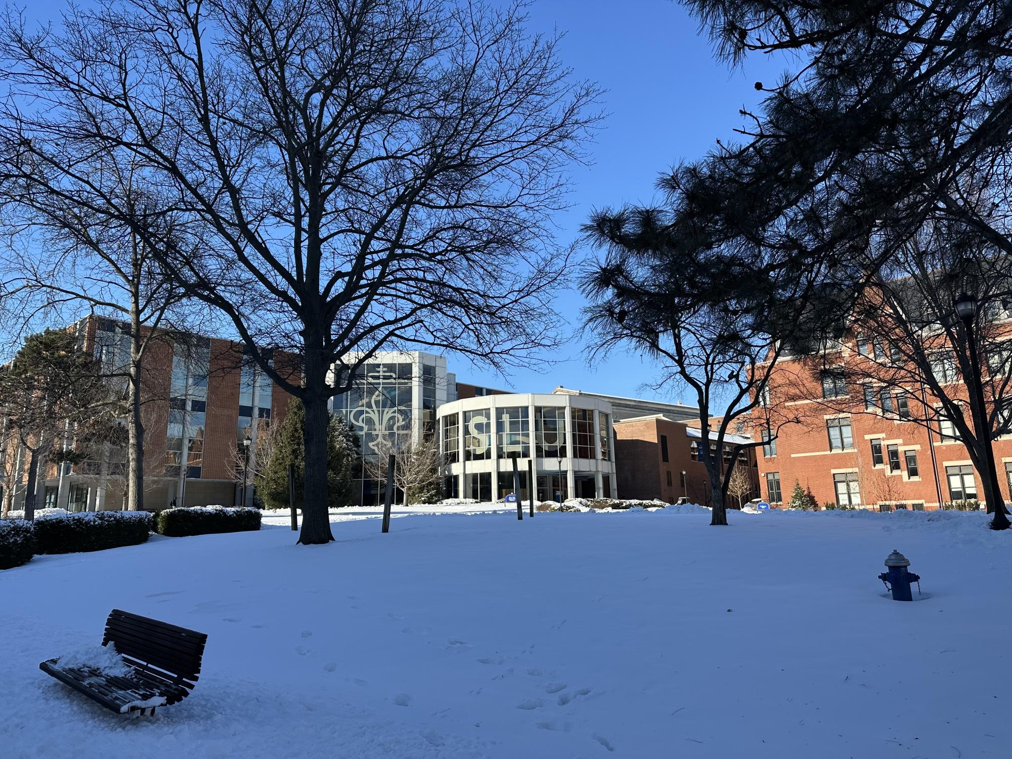 Winter Storm Blair hits St. Louis bringing troubles and frustrations ...